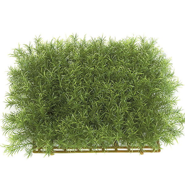 10 Inch Plastic Springerii Mat | Autograph Foliages