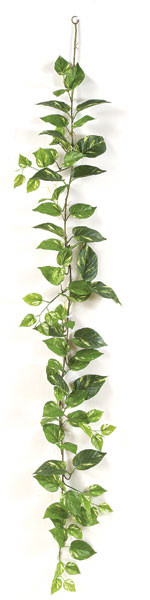 6 Foot Pothos Garland | Autograph Foliages