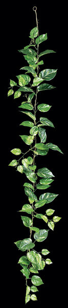 6 Foot Pothos Garland | Autograph Foliages