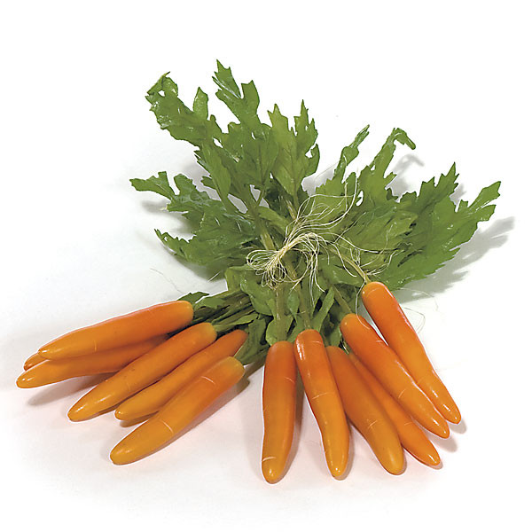 Mini Carrot with Leaves | Autograph Foliages