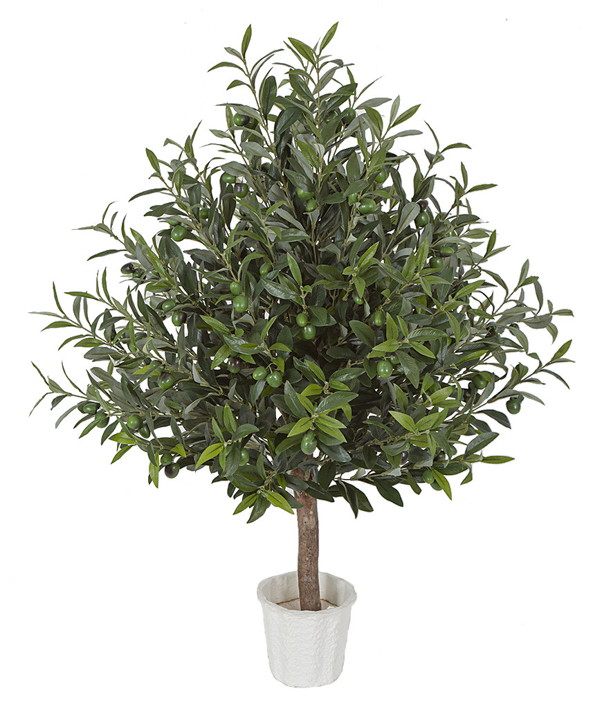 3 Foot Olive Tree Topiary with or without Olives | Autograph Foliages