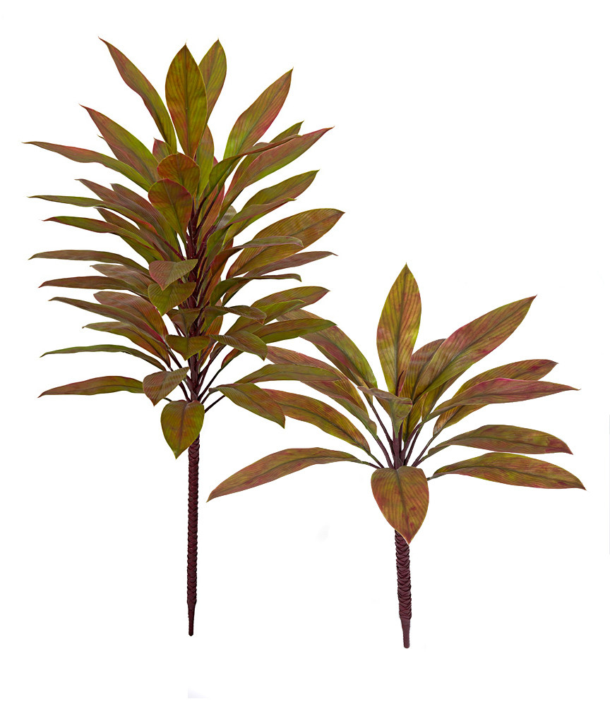 3 Ft.or5 Ft. Polyblend Outdoor Cordyline Plant Green/Red | Autograph ...