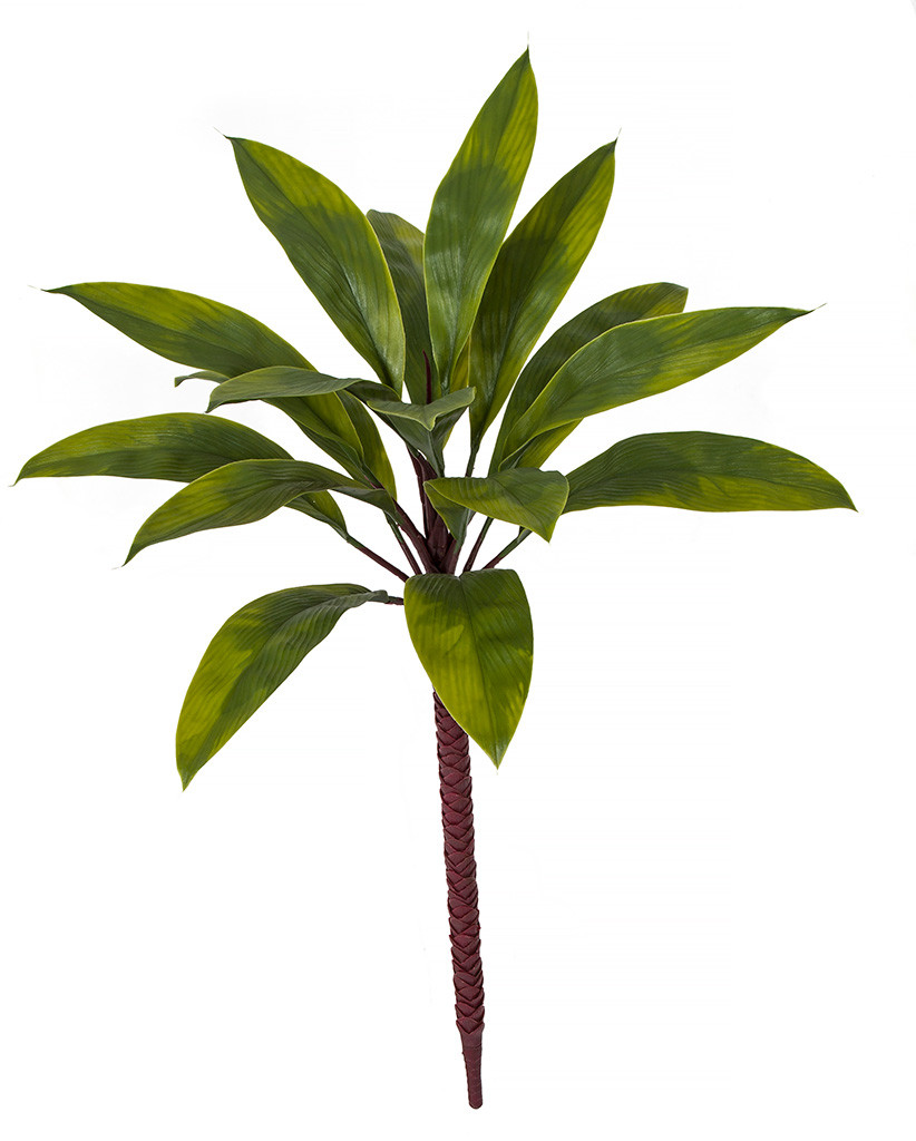 3' or 5' outdoor green cordyline plant | polyblend foliage | Autograph ...