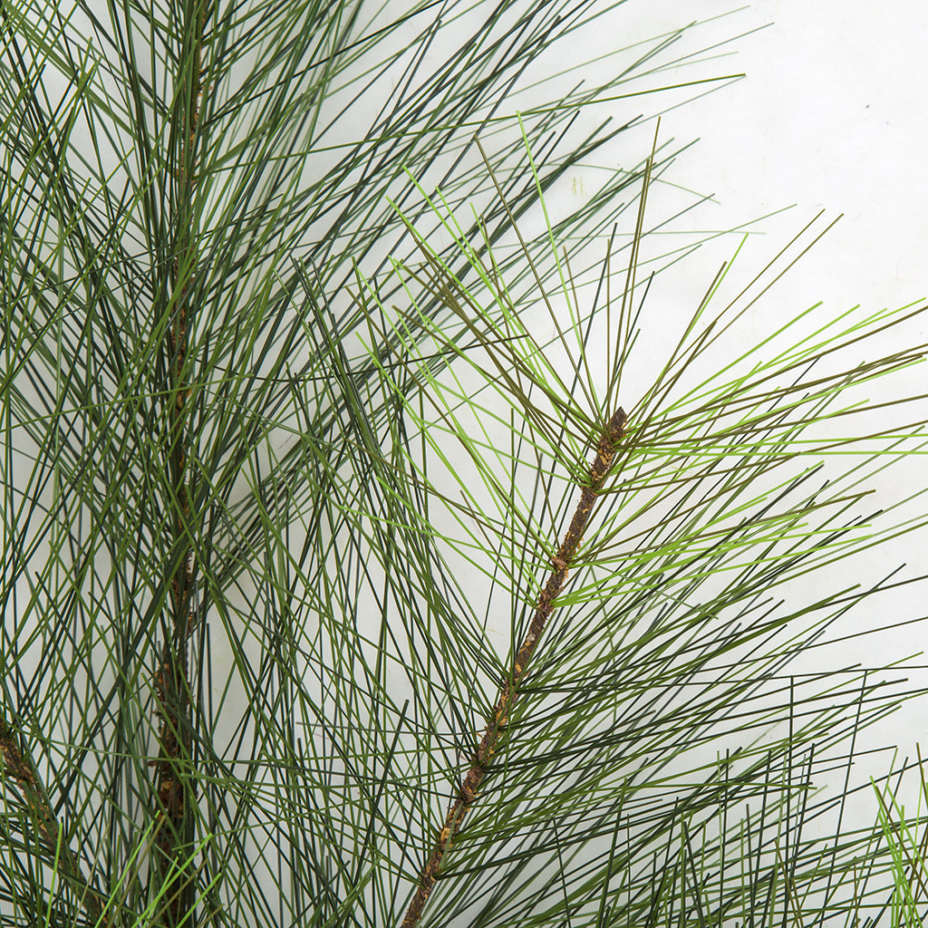 30 Inch Long Needle PVC Pine Branch | Autograph Foliages