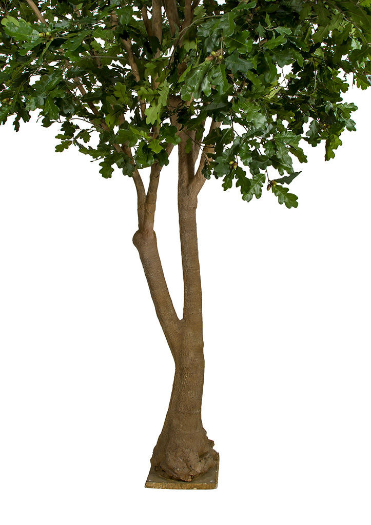 12 Foot Oak Tree on Fiberglass Trunk and Base | Autograph Foliages