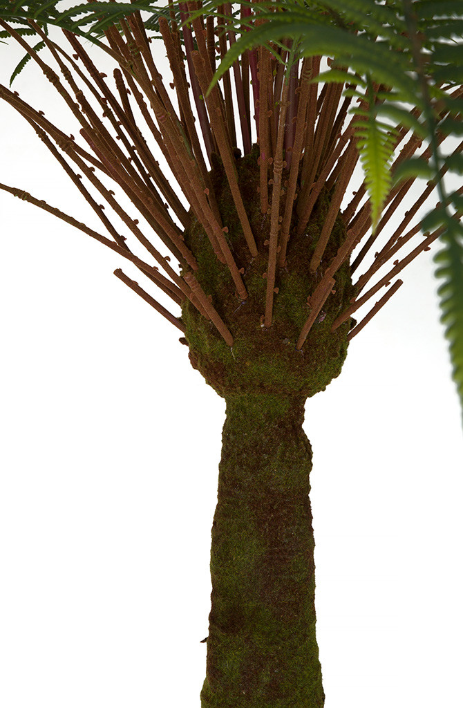 68 Inch Potted Fern Tree with Synthetic Trunk | Autograph Foliages