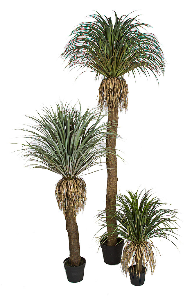 Artificial Pandani Trees | Pandanifolia Trees Wholesale - 30", 54", and ...