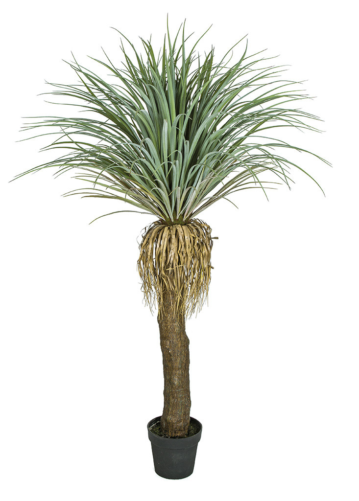 Artificial Pandani Trees | Pandanifolia Trees Wholesale - 30", 54", and ...