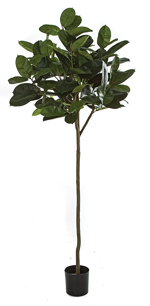 5' or 7' Artificial Rubber Trees | Natural Trunk Trees | Autograph Foliages