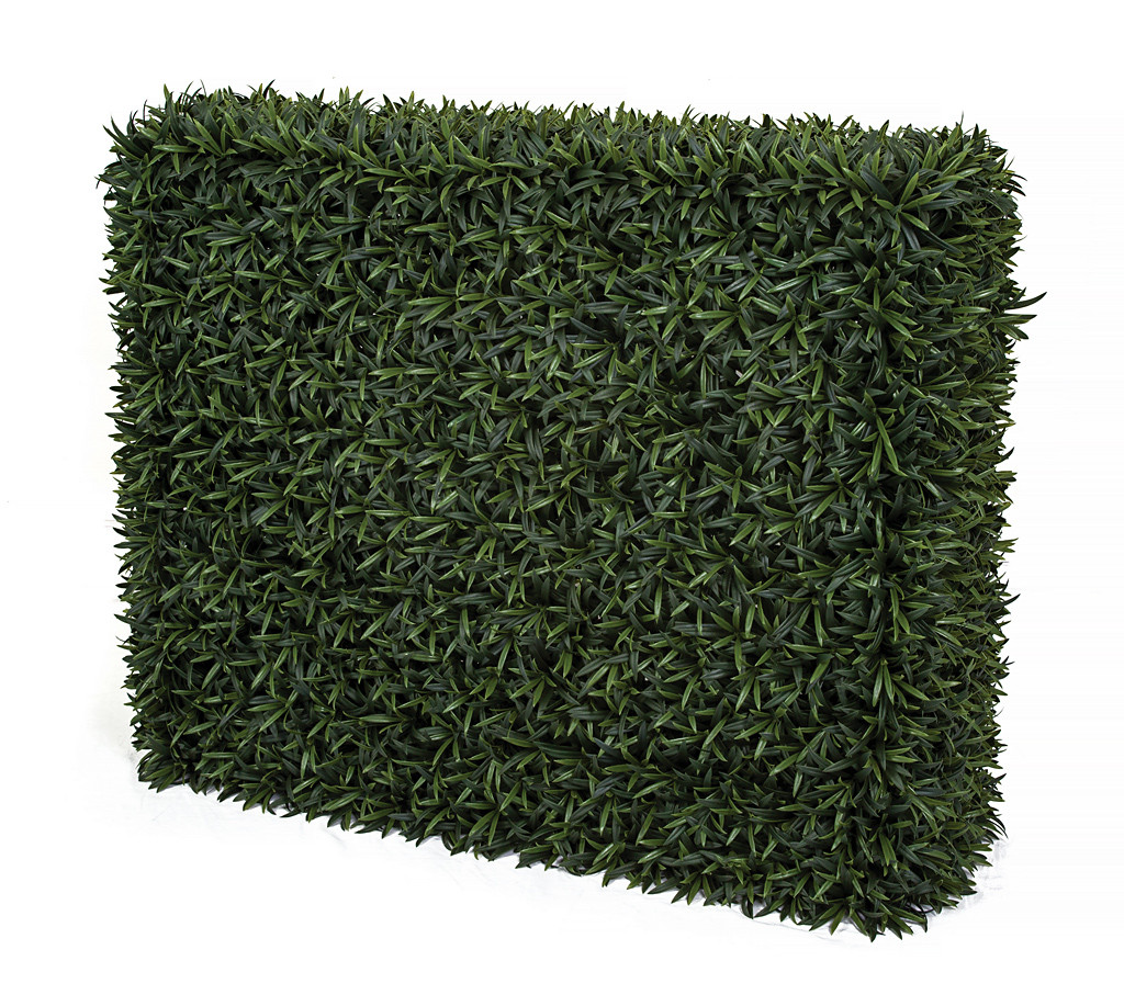 37" L x 14" W x 30" H Polyblend Outdoor Podocarpus Hedges | Autograph ...