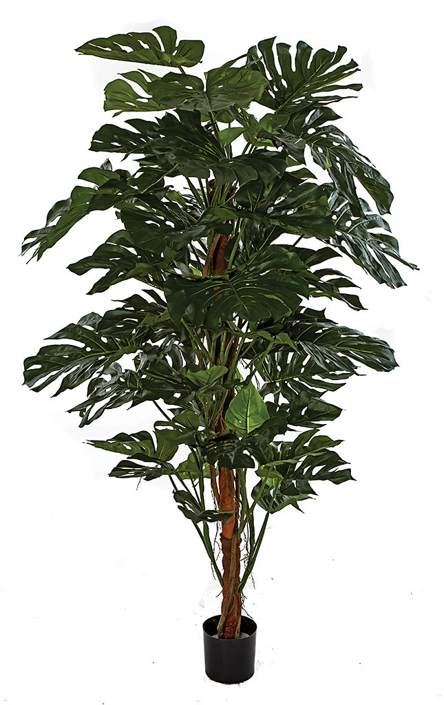 6' Faux Split Leaf Philo Tree | Wholesale Fire Retardant Artificial ...