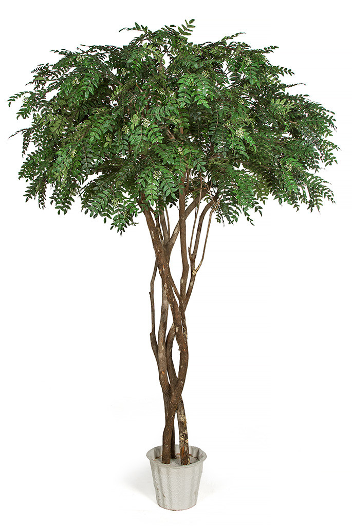 7' FireSafe Acacia Tree on Natural Wood | Custom-Made Trees | Autograph ...