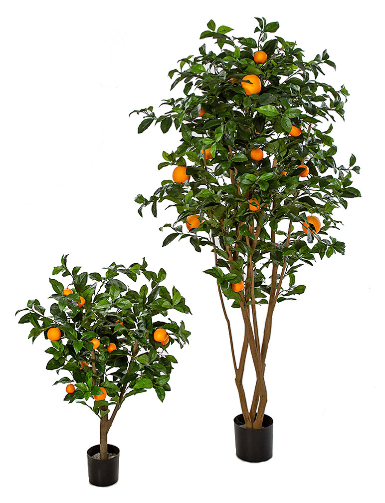 Decorative Orange Trees | 3 Ft. Tall or 6 Ft. Tall | Autograph Foliages