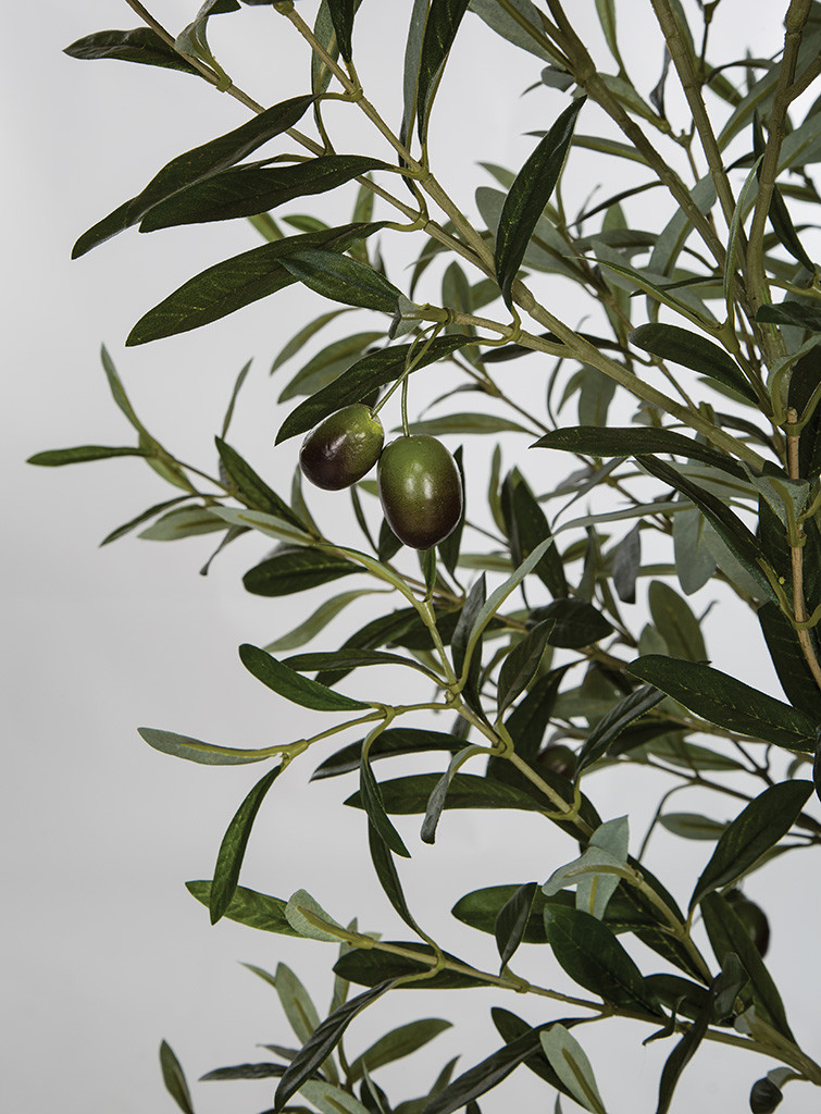 7.5' Artificial Olive Tree Natural Trunk | Faux Olive Trees | Autograph ...