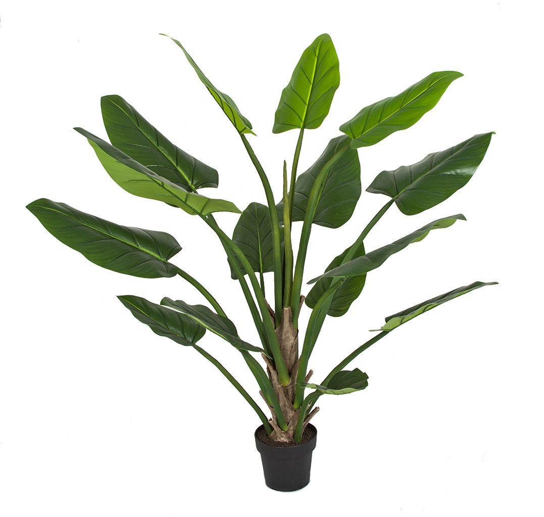 5' Philo Plant x 15 | Wholsale Artificial Tropical Plants | Autograph ...