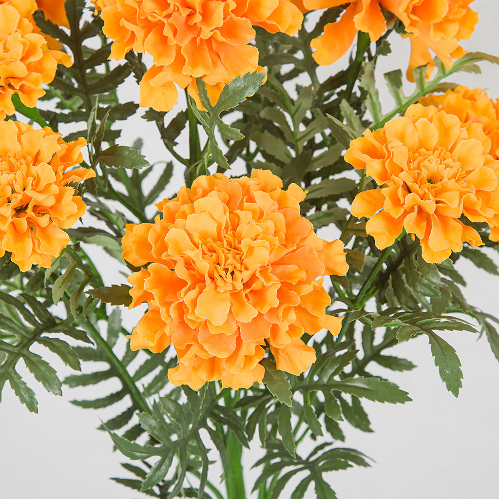17" FireSafe orange marigold bush | fire retardant flowers | Autograph ...