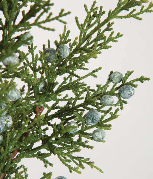 30 Inch Plastic Juniper Spray Frosted Blue Berries | Autograph Foliages