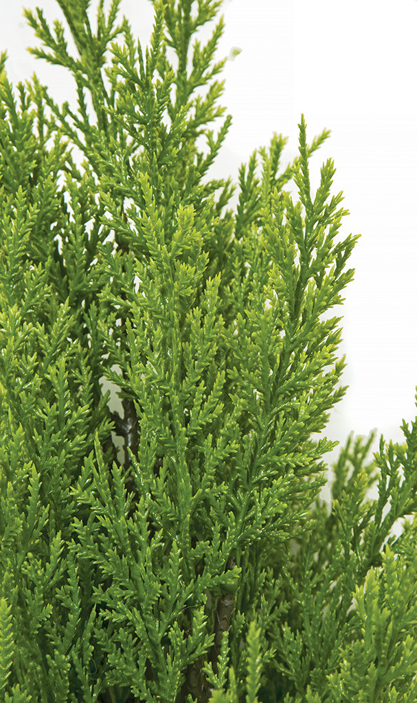 "20" UV-rated polyblend outdoor pine bush." | Autograph Foliages