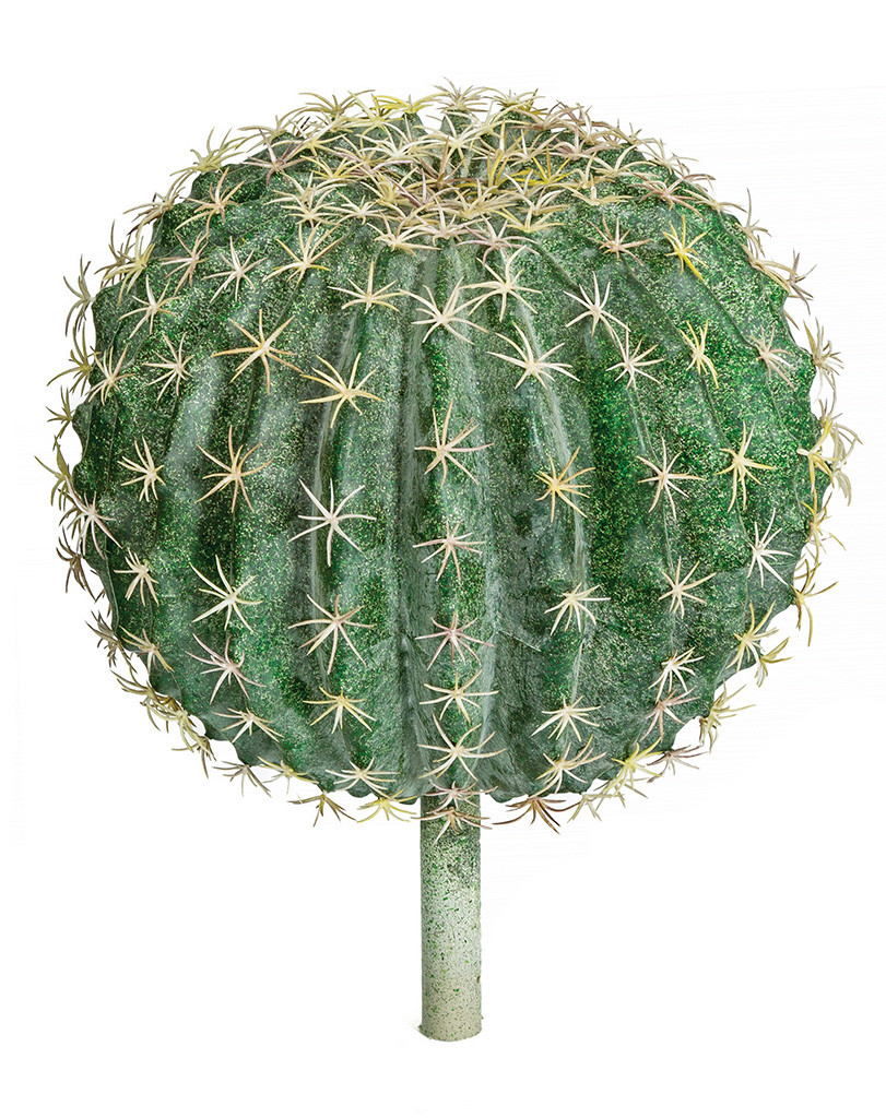 Barrel Head Cactus with Stem and Needles | 12.5" or 15.5" Sizes ...