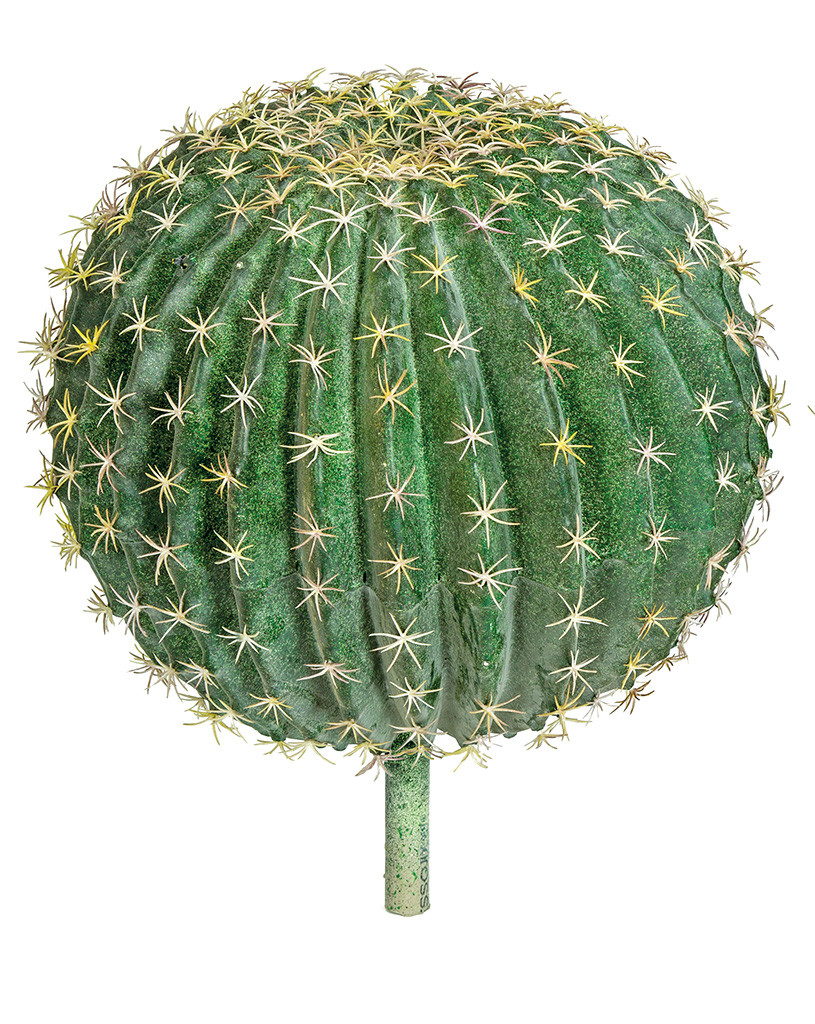 Barrel Head Cactus with Stem and Needles | 12.5" or 15.5" Sizes ...
