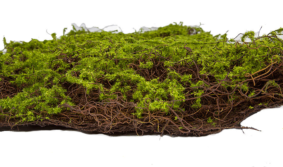 40" L x 20" W Mossed Twig Mat | Green Wall Designs | Autograph Foliages