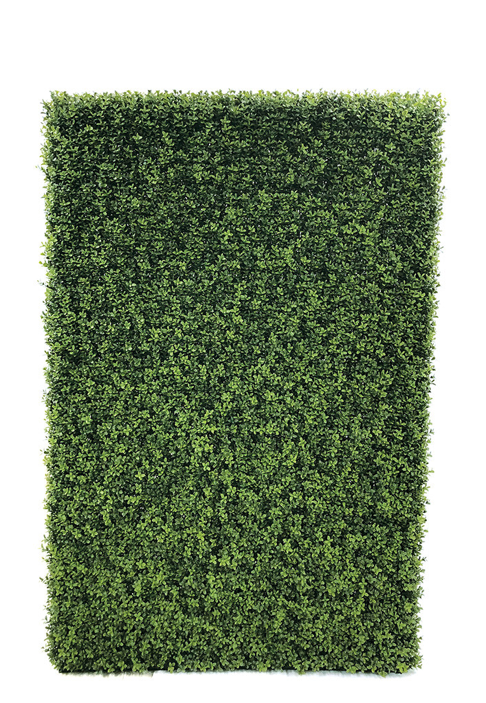 48 Inch L x 16 Inch W x 72 Inch Ht. FireSafe Boxwood Hedge/Screen ...