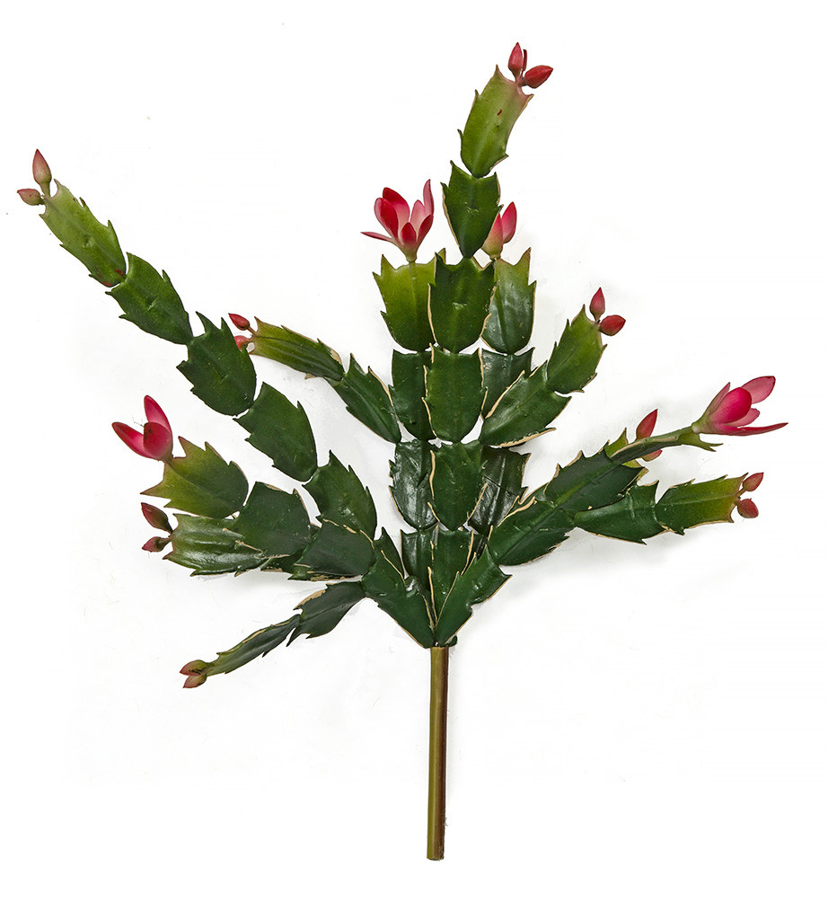 12" Artificial Cactus Spray x 5 | Autograph Foliages