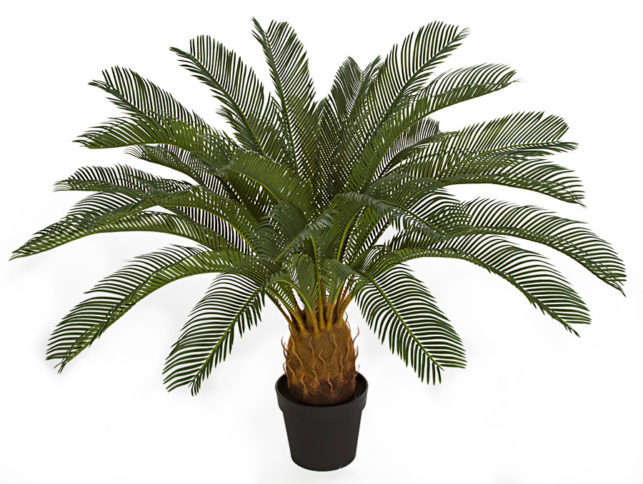 36" Artificial UV Palm Cluster | Autograph Foliages