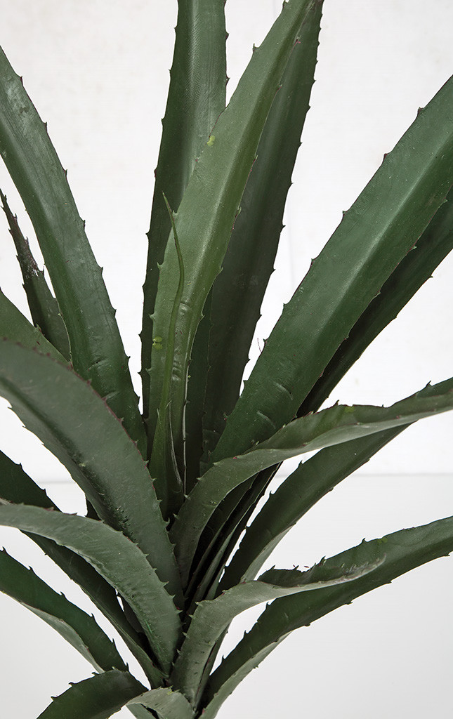 31.5" UV/FireSafe agave plant | indoor/outdoor wholesale | Autograph ...
