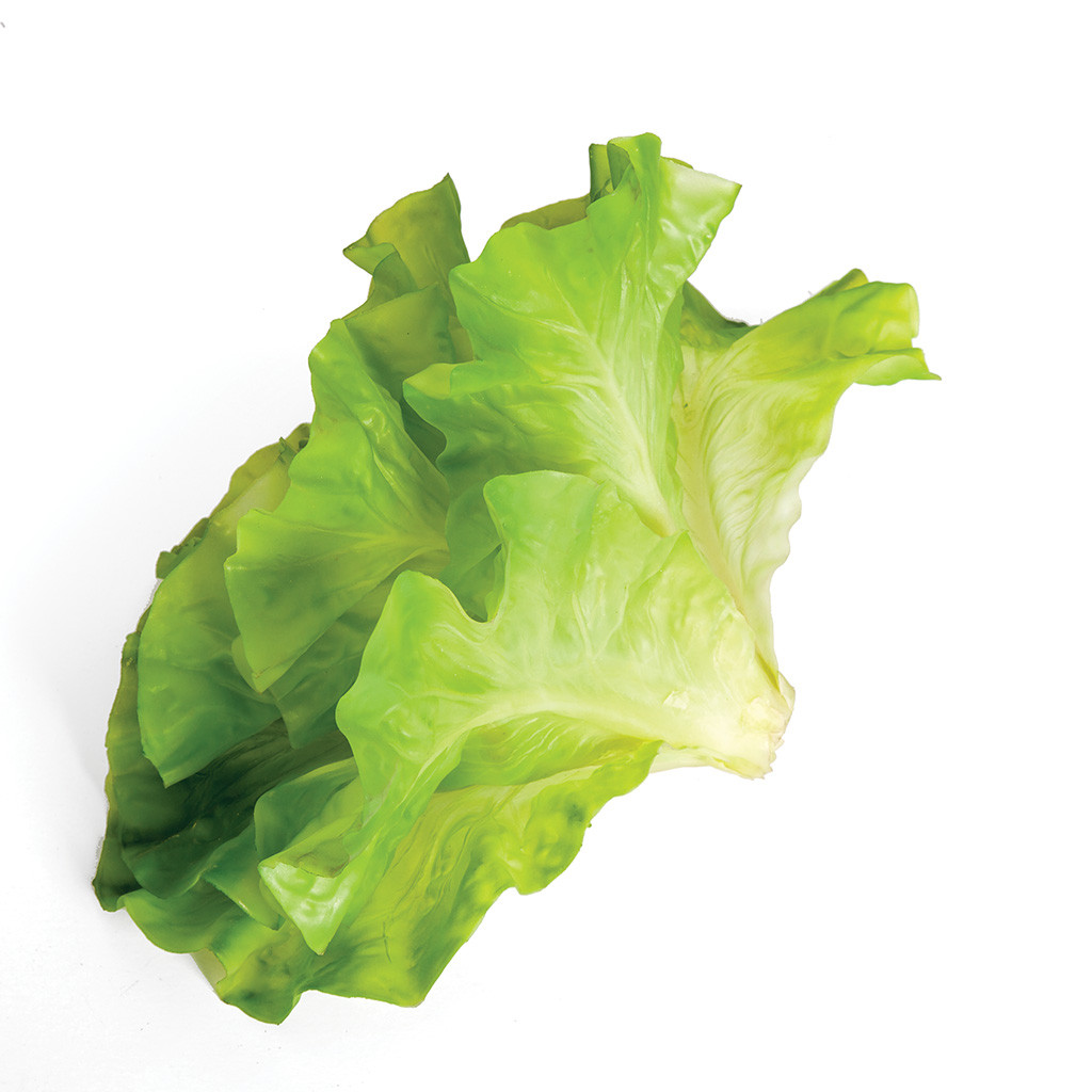 10" W x 6" H Large Leaf Lettuce Head | Autograph Foliages