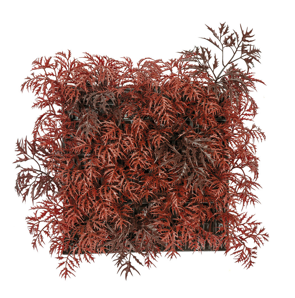 10" Square UV Ming Aralia Greenwalll Mat | Green or Burgundy ...