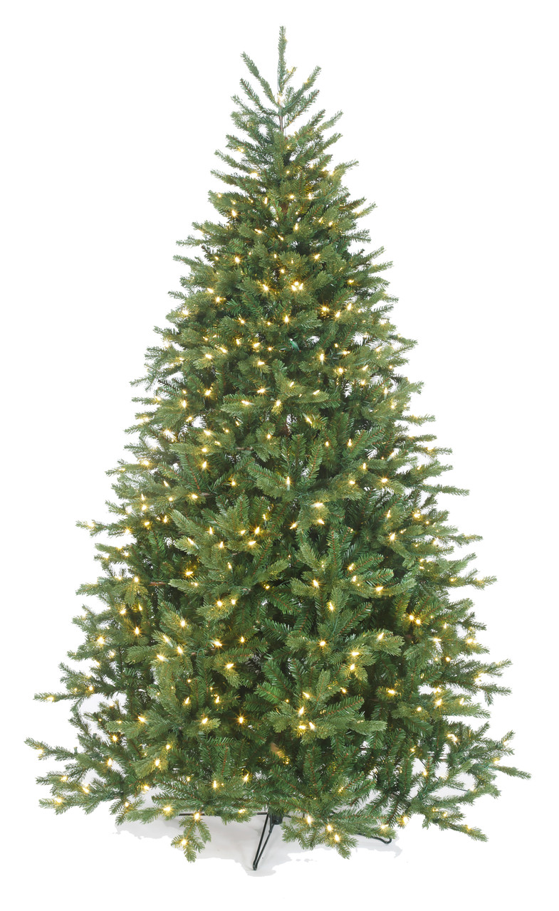 Norway Spruce Trees with Lights | 7.5' to 12' Tall | Autograph Foliages