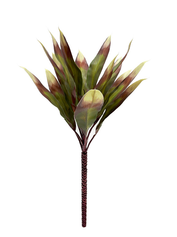 Polyblend Outdoor Green/Brown Cordyline Plant | 3' or 5' Sizes ...