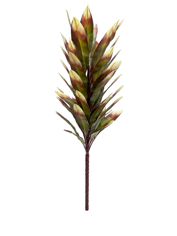 Polyblend Outdoor Green/Brown Cordyline Plant | 3' or 5' Sizes ...
