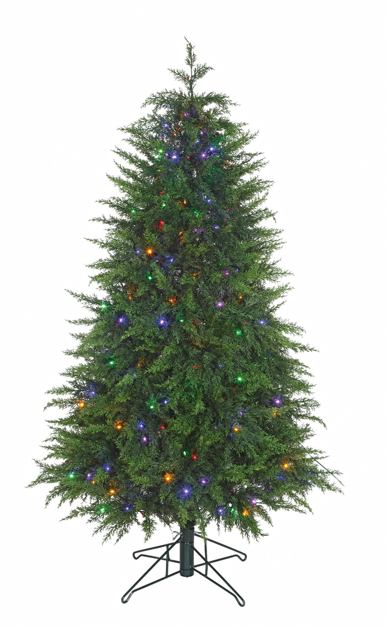 Northern Cedar Slim Tree with LED Fairy Lights | 2 Sizes | Autograph ...