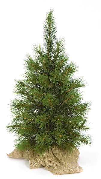 24" PVC Jack Pine Trees with Burlap Base | Autograph Foliages