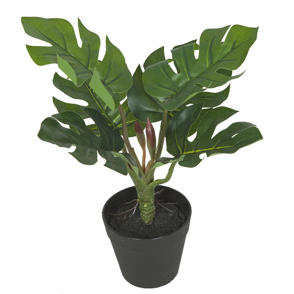 37 Inch Split Leaf Philo Stem | Autograph Foliages