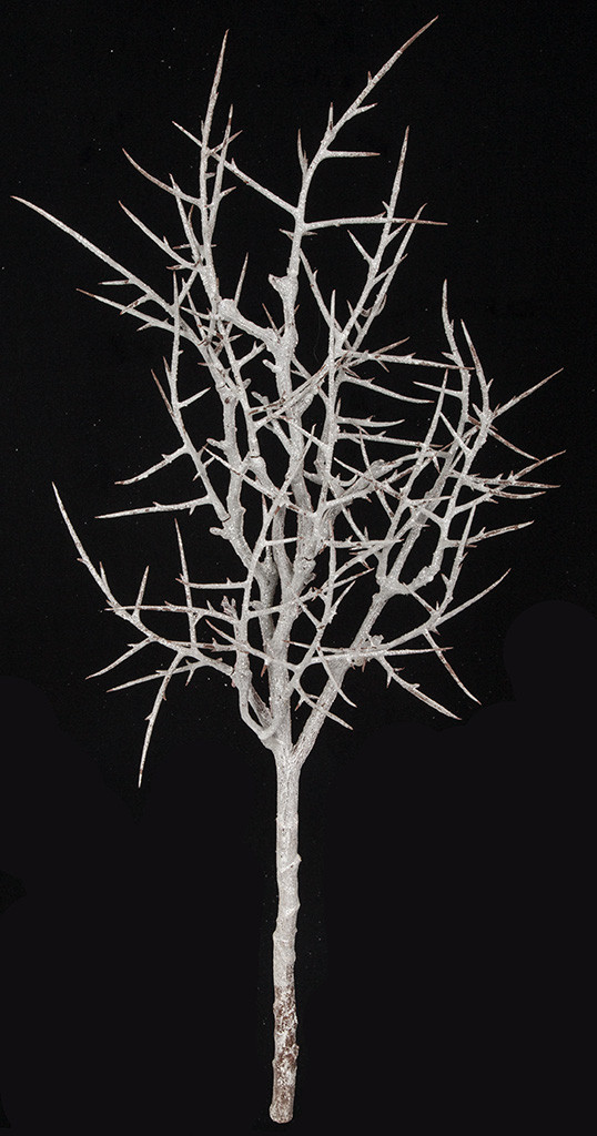 43 Inch Artificial Thorn Twig Stick Bundle | Autograph Foliages