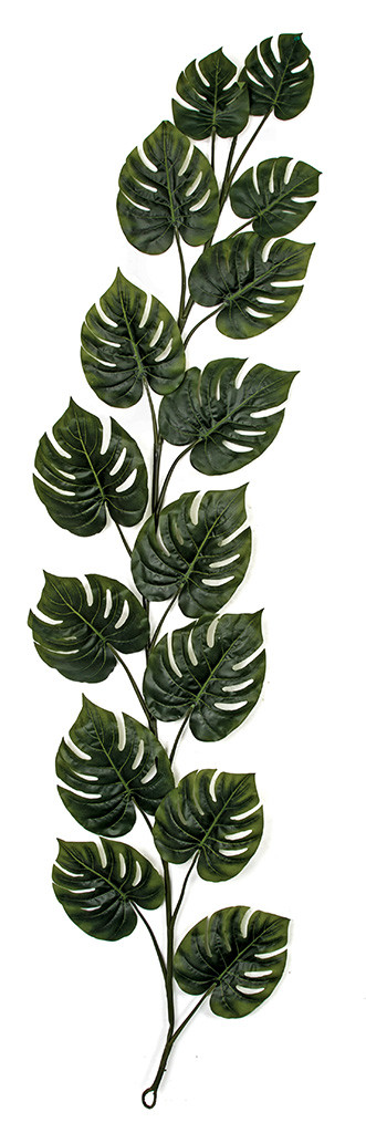 37 Inch Split Leaf Philo Stem | Autograph Foliages