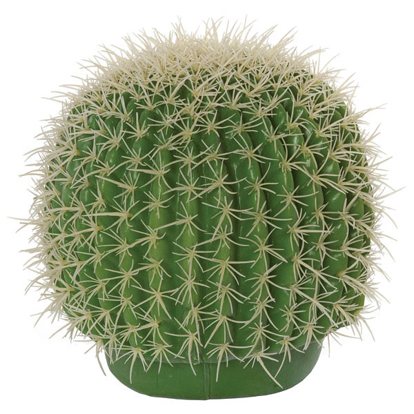8 Inch Finger Cactus | Autograph Foliages