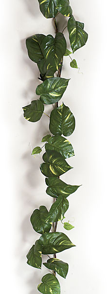 6 Foot Pothos Garland | Autograph Foliages