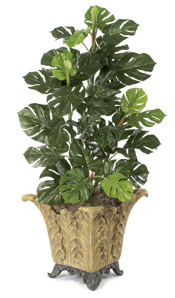 37 Inch Split Leaf Philo Stem | Autograph Foliages