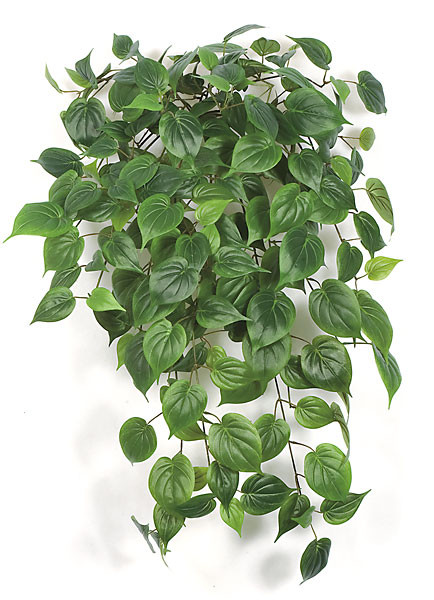 37 Inch Split Leaf Philo Stem | Autograph Foliages