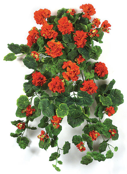 17" Outdoor Geranium Bushes | Polyblend Outdoor Plants | Autograph Foliages