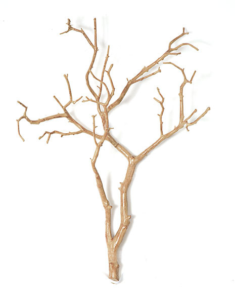 43 Inch Artificial Thorn Twig Stick Bundle | Autograph Foliages