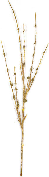 43 Inch Artificial Thorn Twig Stick Bundle | Autograph Foliages