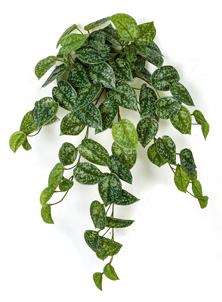 27" Polyester Scindapsus Bush | Hanging Artificial Plants | Autograph ...