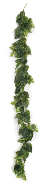 6 Foot Pothos Garland | Autograph Foliages