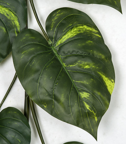 6 Foot Natural Touch Variegated Pothos Garland | Autograph Foliages