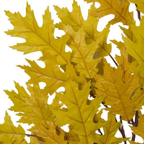 29 Inch Pin Oak Branches Fall Mix or Gold | FireSafe Wholesale Branches ...